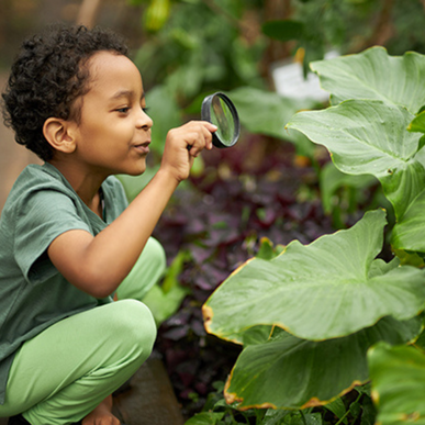 We Don't Value Nature