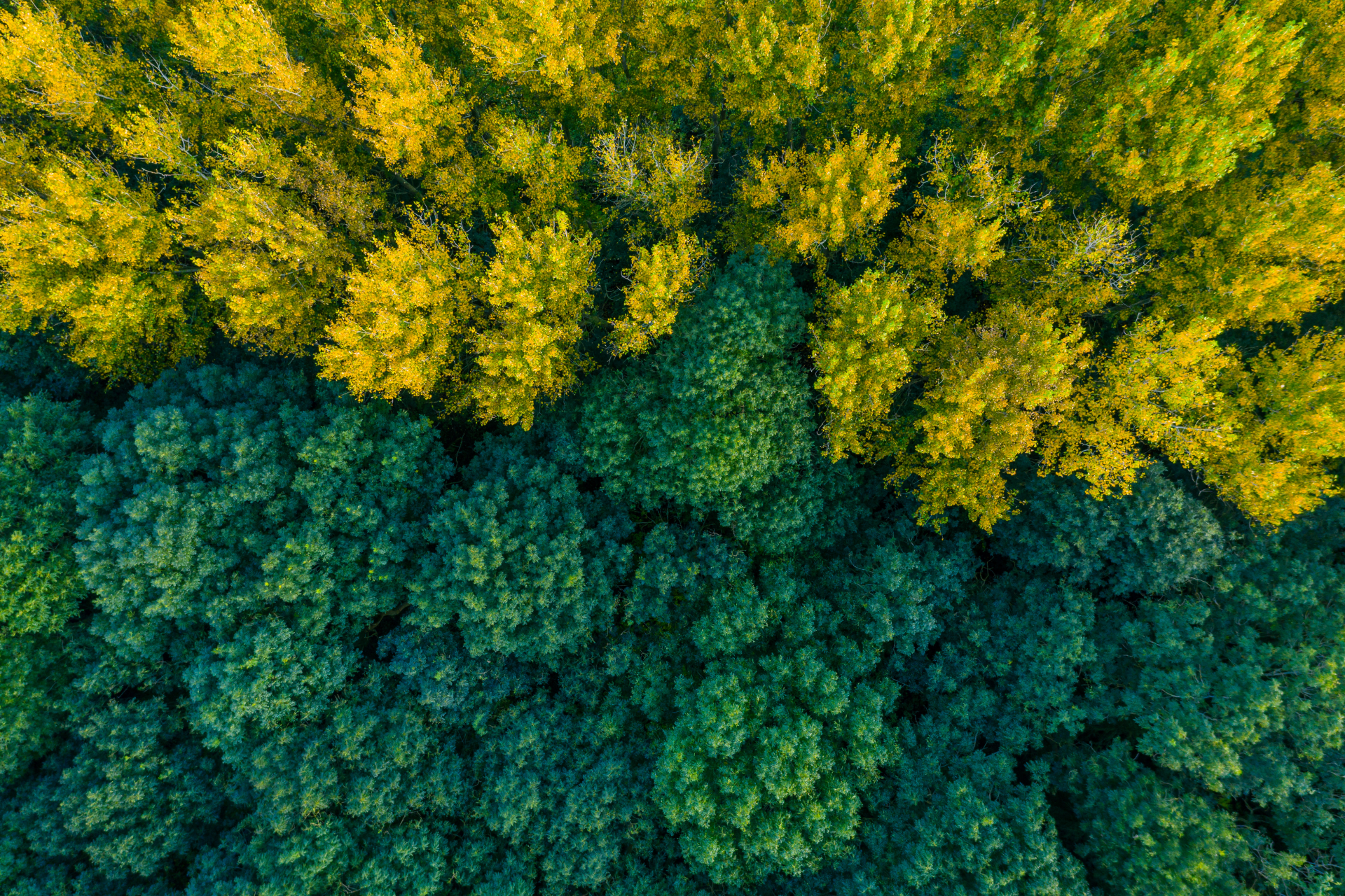 Evergreen funds: A compelling tool for private market asset allocation ...