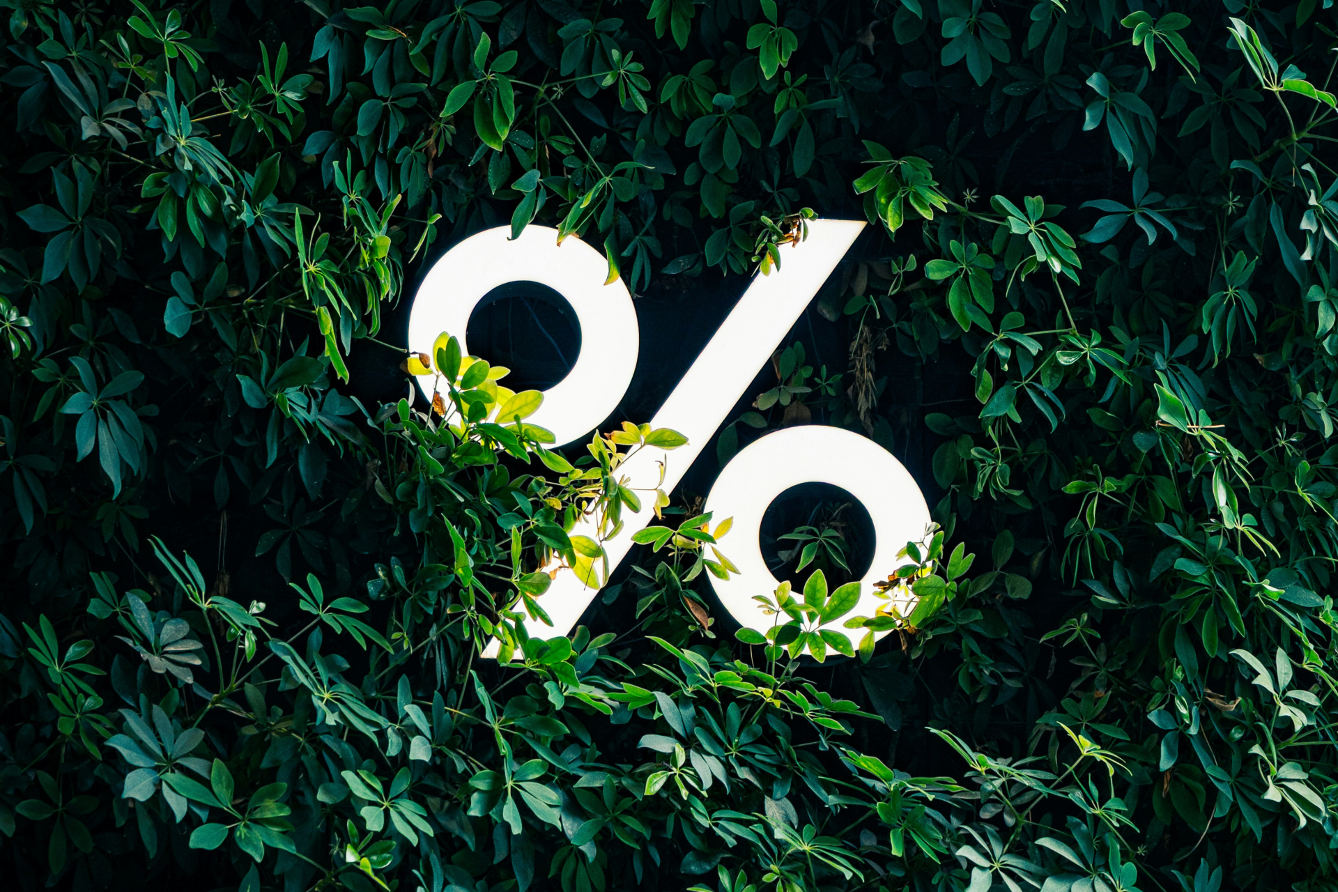 Is fund size growth a red flag? - StepStone Group