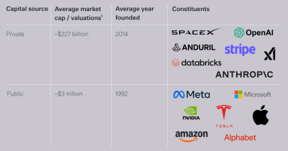 Magnificent 7 across markets: Comparing private and public company ...